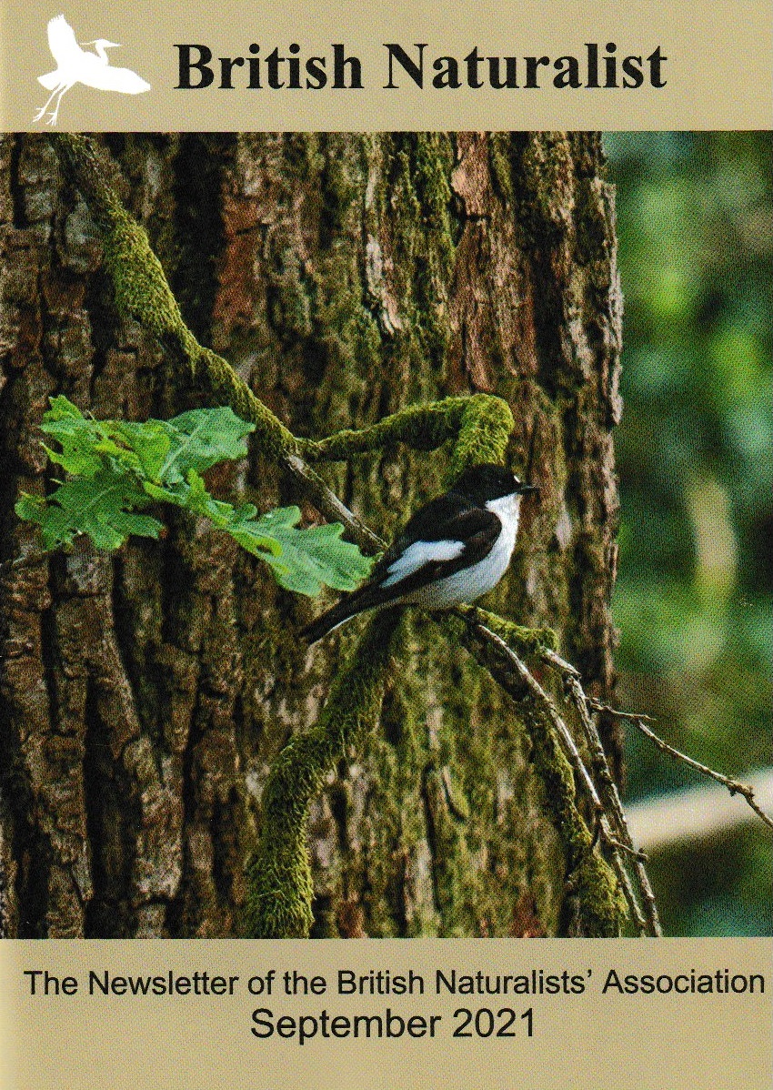 About Us – British Naturalists' Association